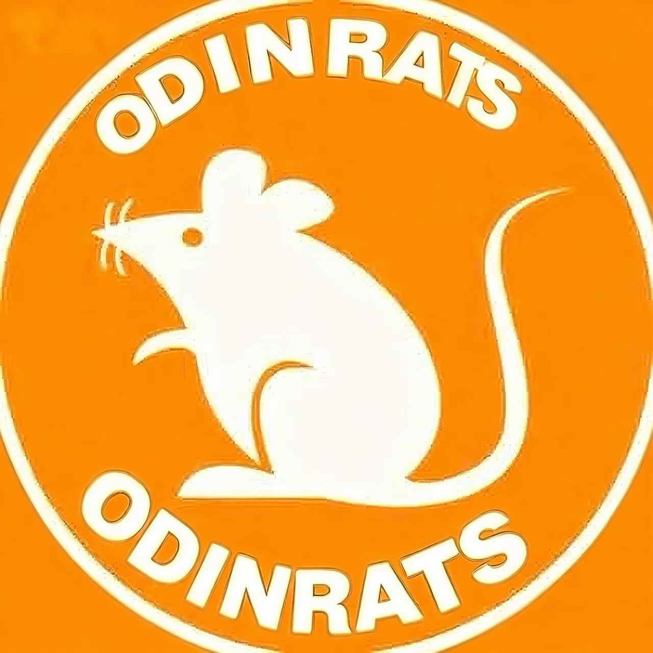 it.odin.baby - Odin Internal Transfer Explorer