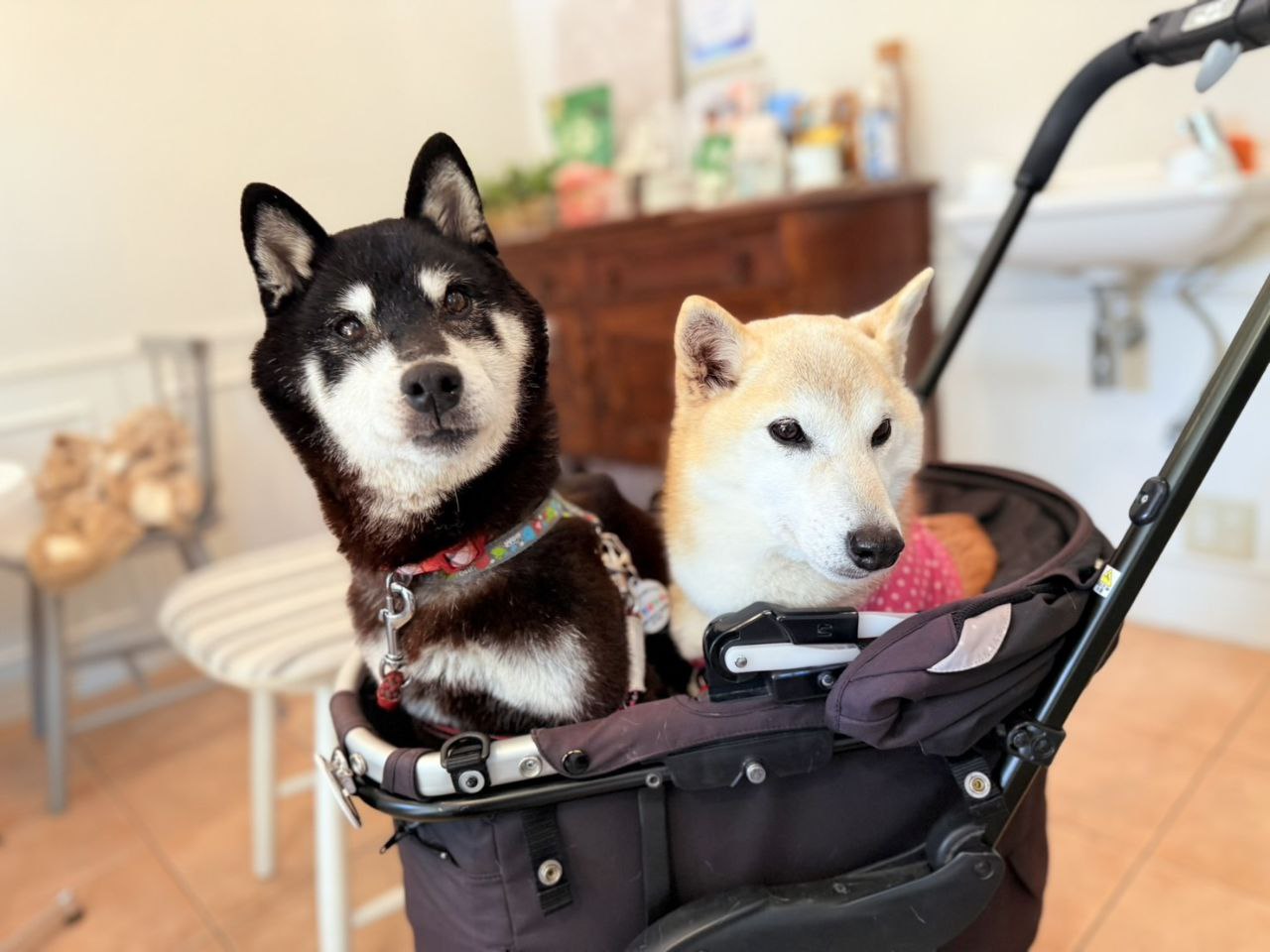 ODIN•FUN - Lightning fast Bitcoin pump fun and AMM